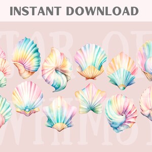 Watercolour Rainbow Seashell Clipart Beach Shells PNG Digital Image ...