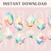 Watercolour Rainbow Seashell Clipart Beach Shells PNG Digital Image ...