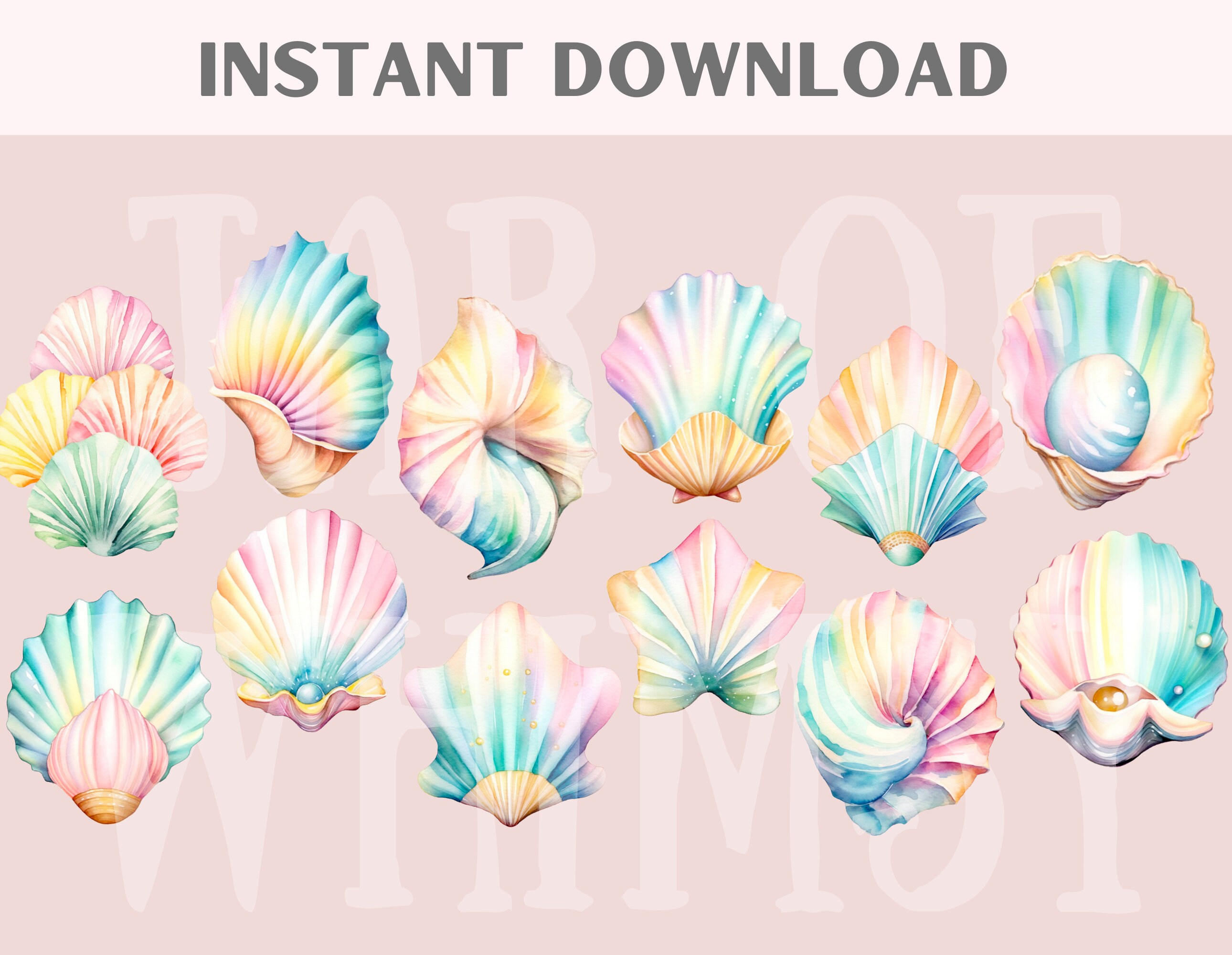 Watercolour Rainbow Seashell Clipart Beach Shells PNG Digital Image ...