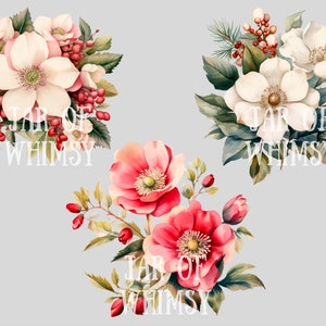 Watercolour Christmas Flower Clipart Festive Flower Elements PNG ...