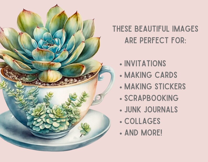 Watercolour Succulent Teacup Clipart Houseplants PNG Digital Image ...