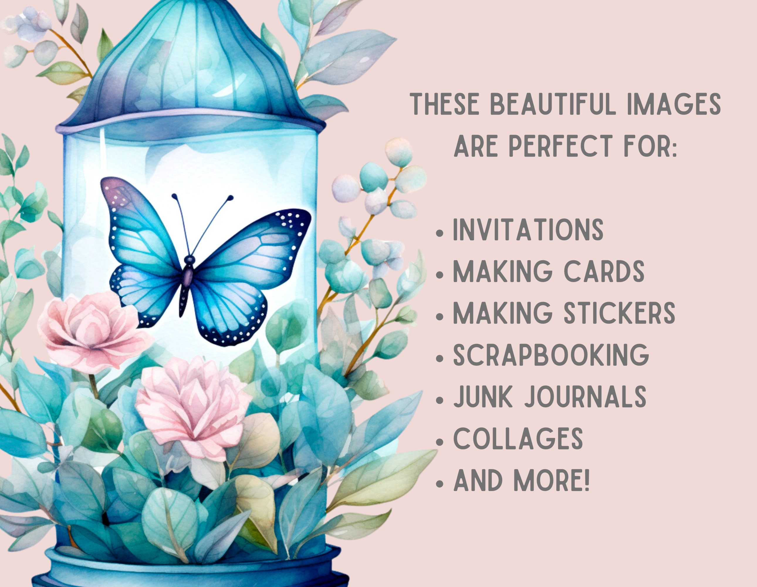 Watercolour Terrarium Clipart Cute Butterflies and Plants PNG Digital ...
