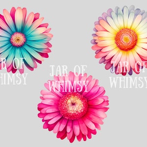 Watercolour Vibrant Daisies Clipart Spring Flower Elements PNG Digital ...