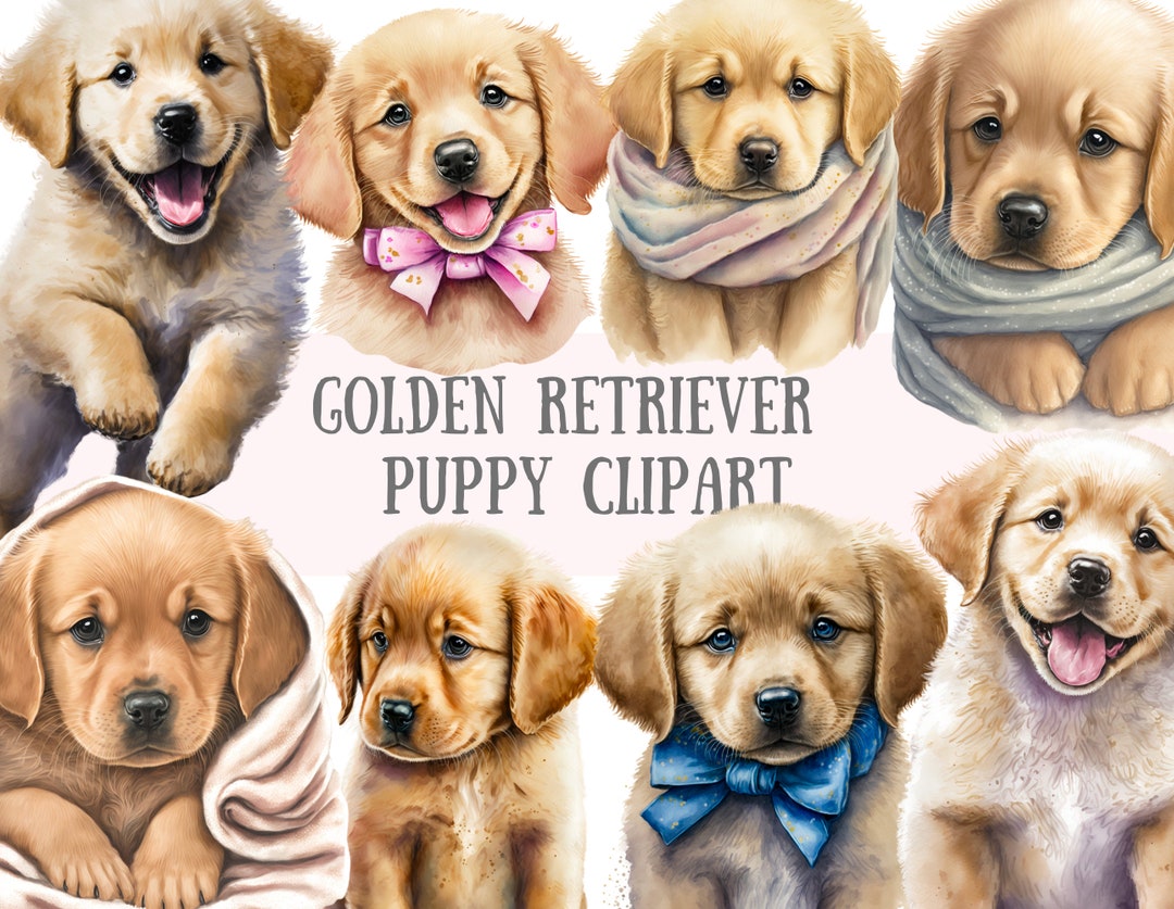 Watercolour Golden Retriever Puppies Clipart - Puppy Dog PNG Digital ...