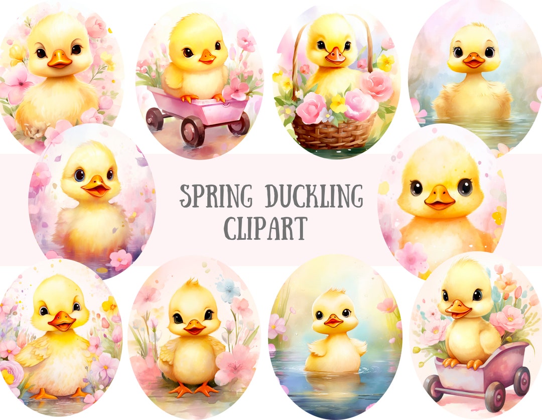 Watercolour Spring Duck Clipart Cute Yellow Duckling PNG Digital Image ...
