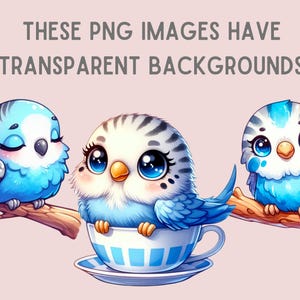 Watercolour Blue Budgie Clipart Chibi Pet Bird Blue Budgerigar PNG ...