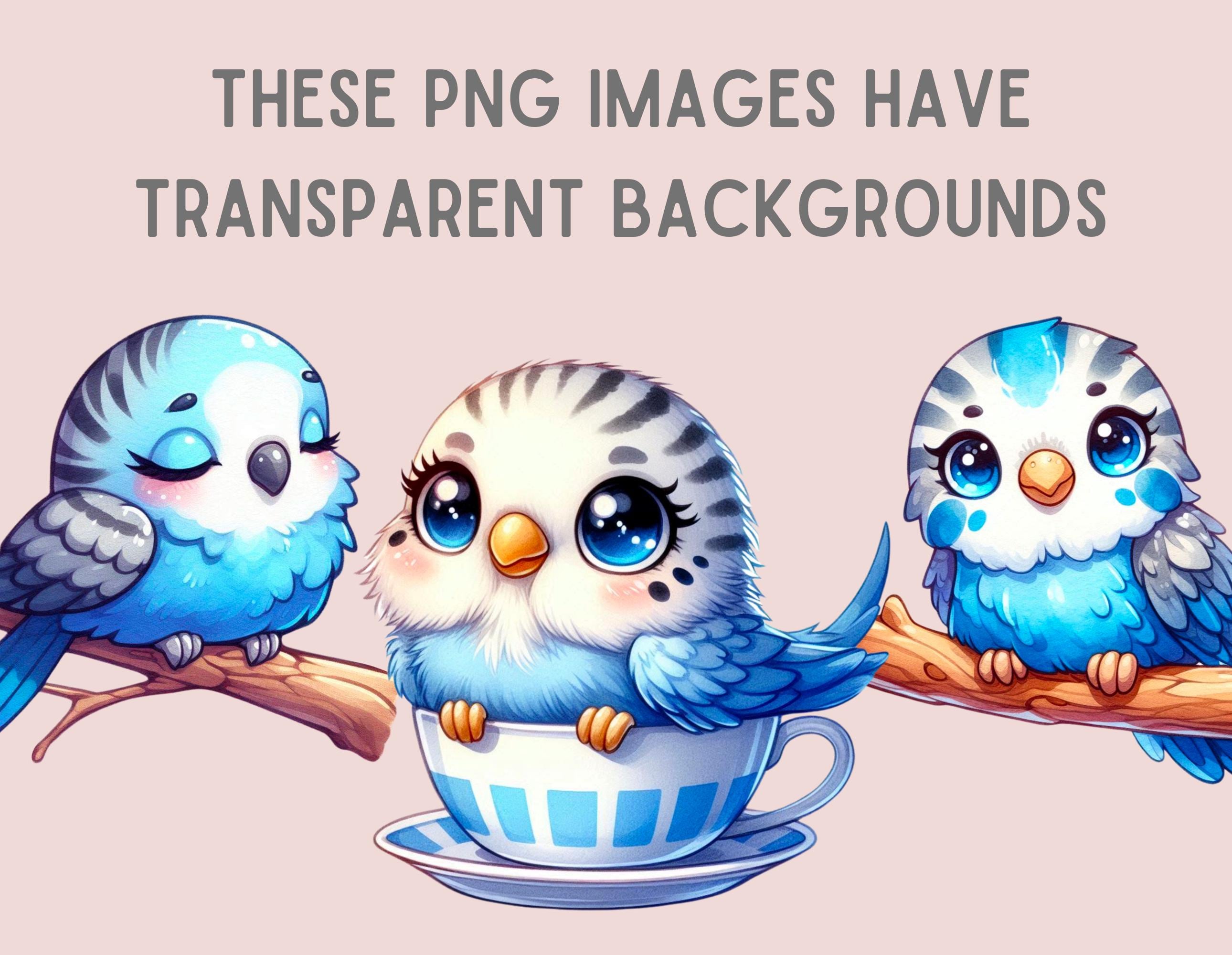 Watercolour Blue Budgie Clipart Chibi Pet Bird Blue Budgerigar PNG ...