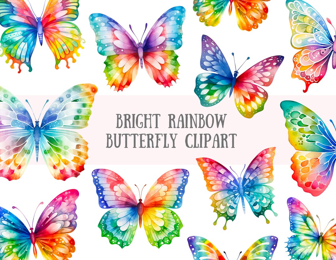 Watercolour Bright Rainbow Butterfly Clipart Spring Pride PNG Digital ...