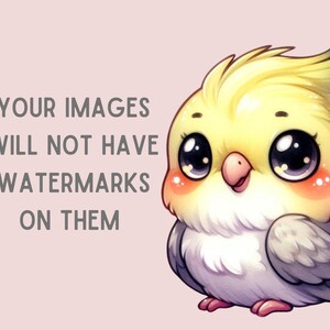 Watercolour Kawaii Cockatiel Clipart Chibi Pet Bird PNG Digital Image ...