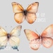 Watercolour Pastel Butterfly Clipart Spring Butterflies PNG Digital ...