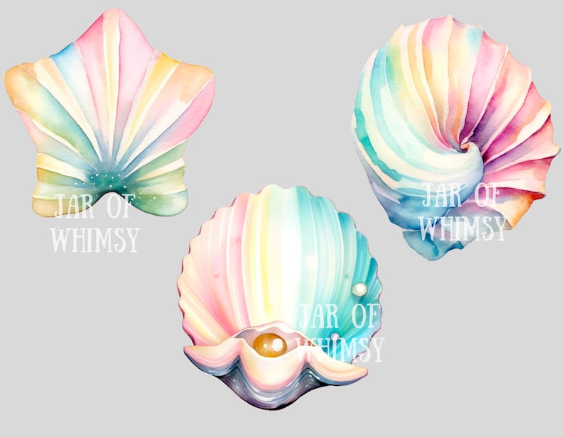 Watercolour Rainbow Seashell Clipart Beach Shells PNG Digital Image ...