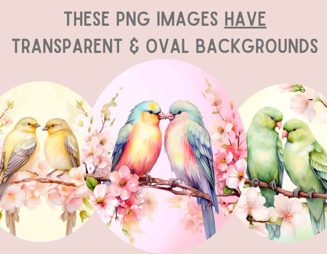 Watercolour Spring Lovebird Clipart Pastel Floral Love Birds PNG ...