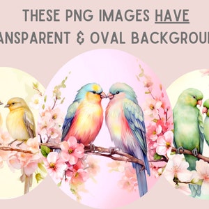 Watercolour Spring Lovebird Clipart Pastel Floral Love Birds PNG ...