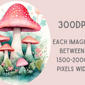 Watercolour Pink Mushroom Clipart Fairy Toadstools PNG Digital Image ...