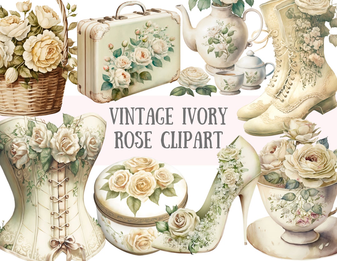 Watercolour Vintage Ivory Rose Clipart - Vintage Wedding PNG Digital ...