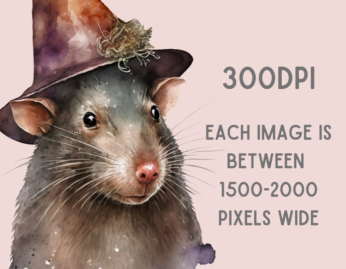 Watercolour Witchy Rat Clipart Gothic Halloween Rat Mice PNG Digital ...