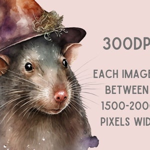 Watercolour Witchy Rat Clipart Gothic Halloween Rat Mice PNG Digital ...