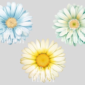 Watercolour Pastel Daisies Clipart Spring Flower Elements PNG Digital ...