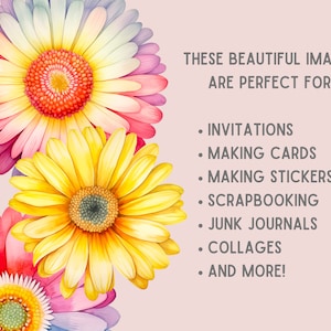 Watercolour Vibrant Daisies Clipart Spring Flower Elements PNG Digital ...