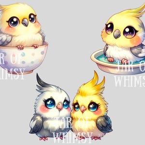 Watercolour Kawaii Cockatiel Clipart Chibi Pet Bird PNG Digital Image ...