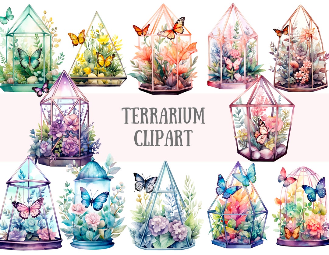 Watercolour Terrarium Clipart Cute Butterflies and Plants PNG Digital ...