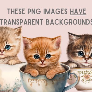 Watercolour Vintage Teacup Kittens Clipart - Kawaii Cat PNG Digital ...