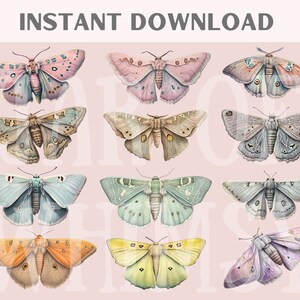 Watercolour Pastel Moths Clipart Luna Moth PNG Digital Image Downloads ...