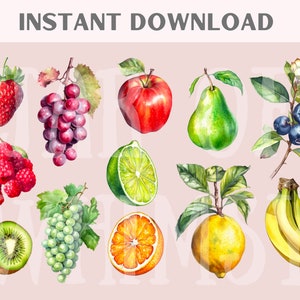 Watercolour Fruit Clipart Strawberry Blueberry Apple Grapes PNG Digital ...