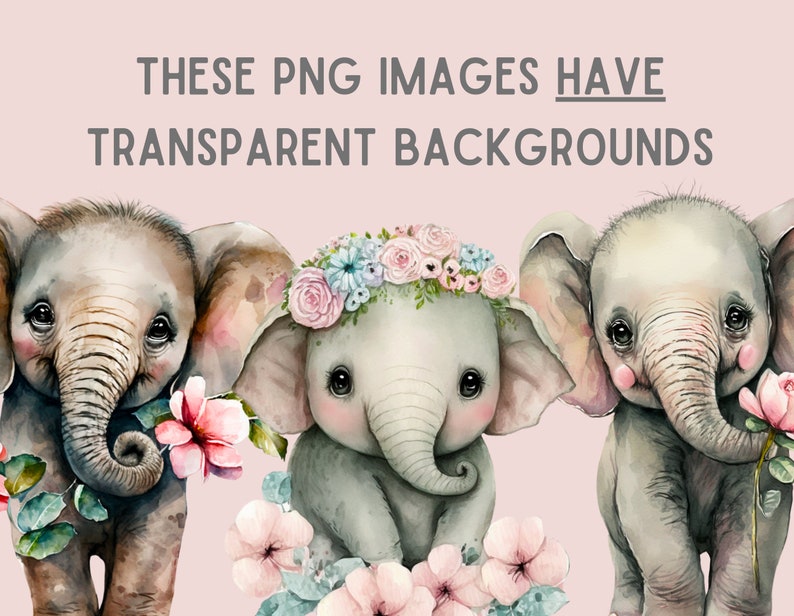 Watercolour Baby Elephant Clipart - Safari Animal PNG Digital Image ...