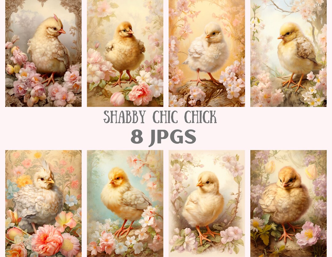 Watercolour Shabby Chic Chick Clipart Easter Baby Chick JPG Digital ...