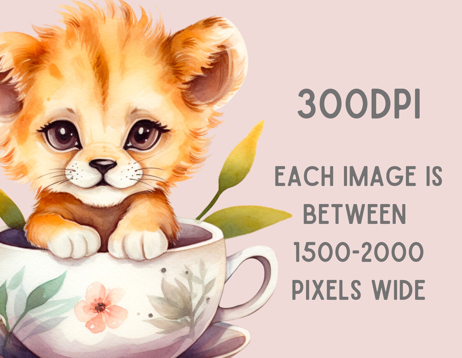 Watercolour Safari Animal Teacup Clipart Baby Animals PNG Digital Image ...