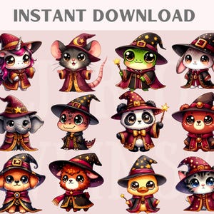 Watercolour Wizard Animal Clipart Kawaii Witch Animal PNG Digital Image ...