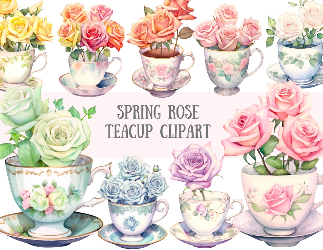 Watercolour Spring Rose Teacup Clipart Tea Time PNG Digital Image ...