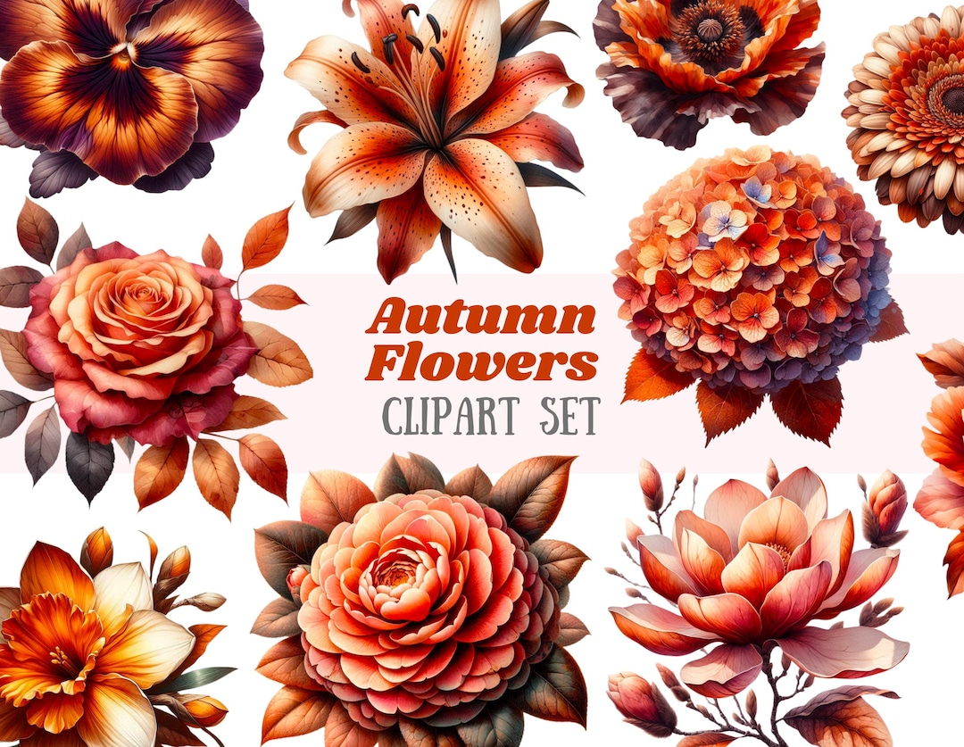 Watercolour Autumn Flowers Clipart Fall Flower Elements PNG Digital ...