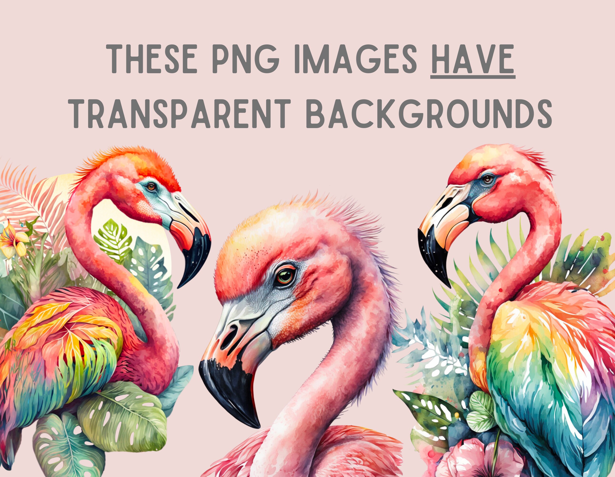 Watercolour Vibrant Flamingo Clipart Tropical Bird PNG Digital Image ...