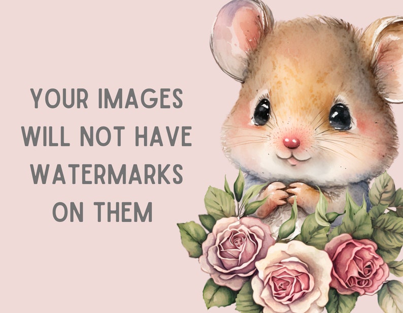 Watercolour Baby Woodland Animals Clipart Forest Animals PNG - Etsy
