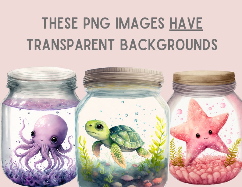 Watercolour Sea Creature Jars Clipart - Ocean Fantasy PNG Digital Image ...