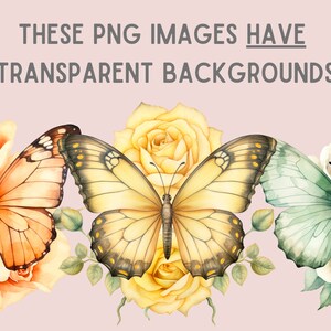 Watercolour Vintage Butterfly Rose Clipart Pastel Floral PNG Digital ...