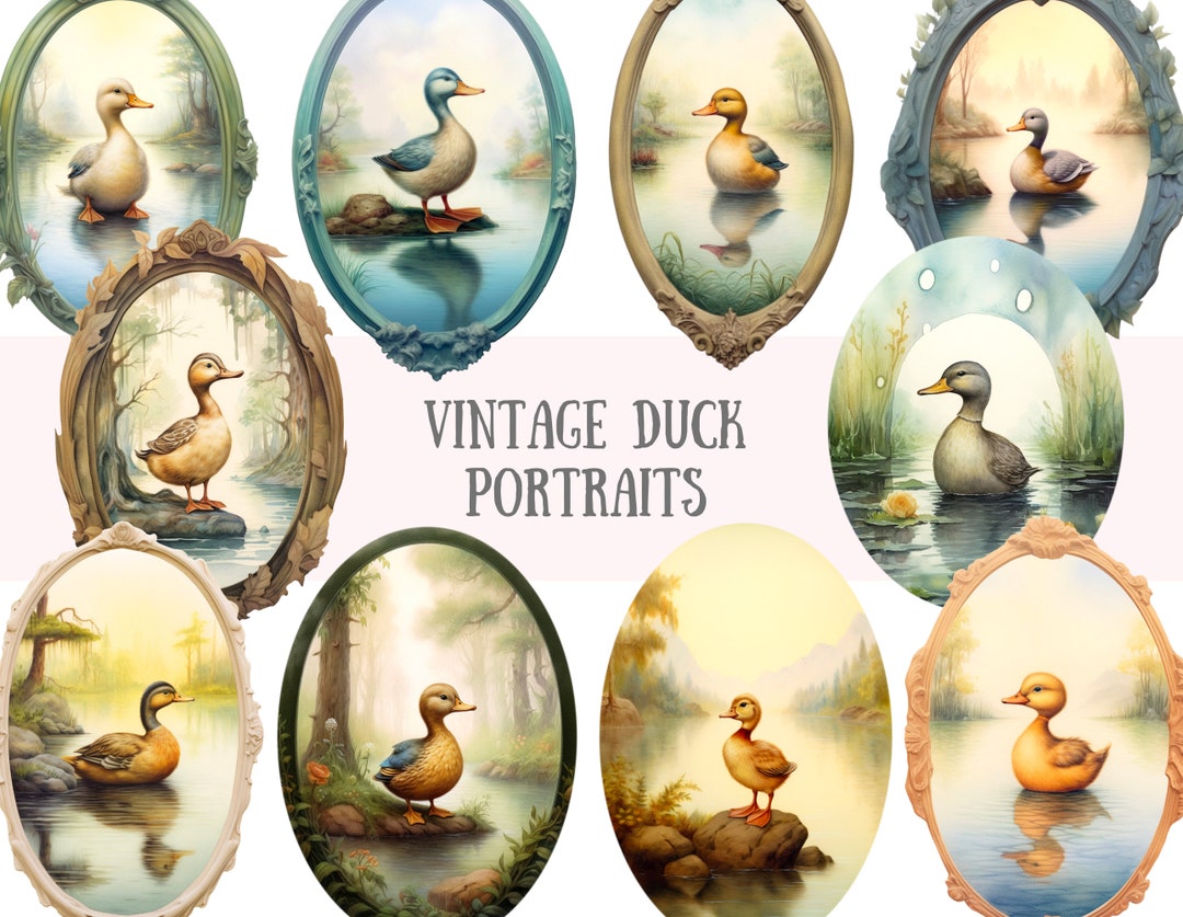 Watercolour Vintage Duck Clipart Duckling Portrait PNG Digital Image ...