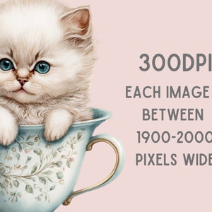 Watercolour Vintage Teacup Kittens Clipart - Kawaii Cat PNG Digital ...