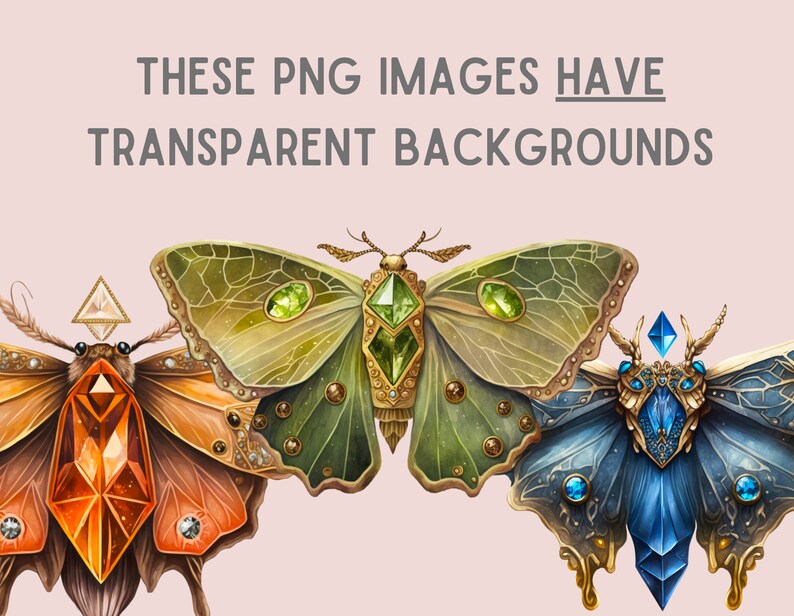 Watercolour Bejeweled Moth Clipart Royal Moths PNG Digital - Etsy