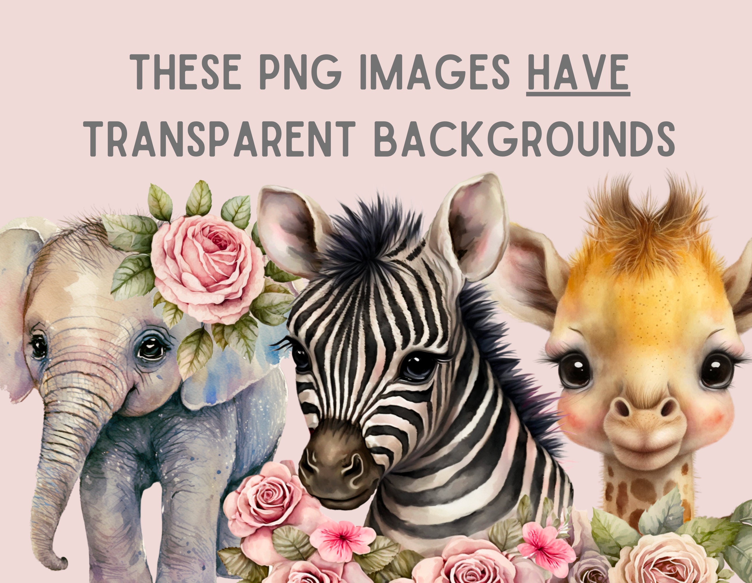 Watercolour Baby Safari Animals Clipart - African Animals PNG Digital ...