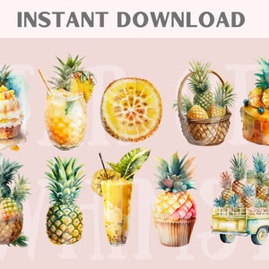 Watercolour Pineapple Clipart Tropical Fruit PNG Digital Image ...