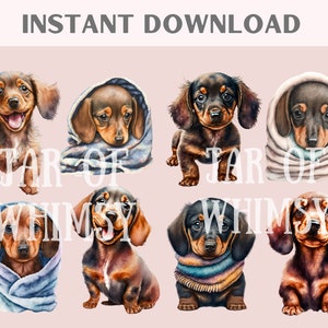 Watercolour Dachshund Puppies Clipart - Sausage Dog PNG Digital Image ...