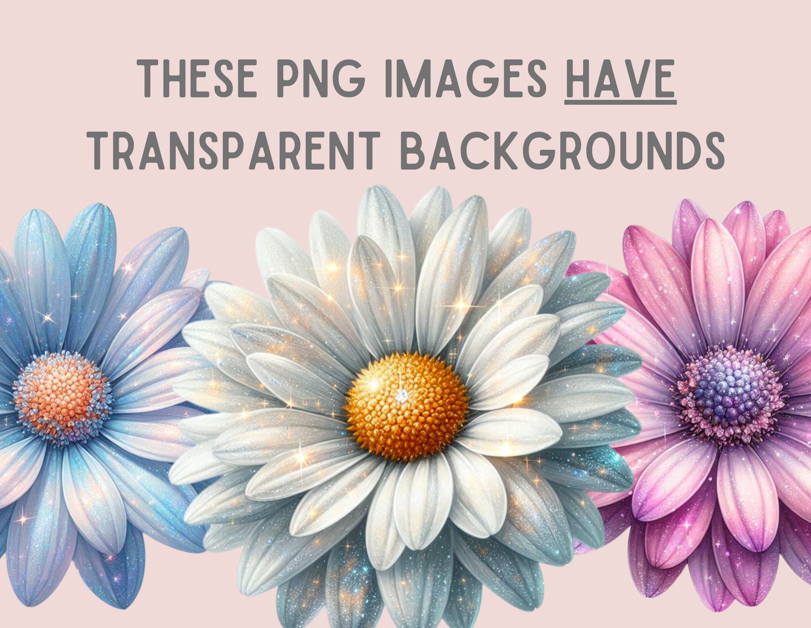 Watercolour Sparkly Daisies Clipart Spring Flower Elements PNG Digital ...