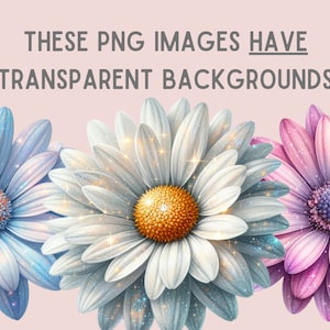 Watercolour Sparkly Daisies Clipart Spring Flower Elements PNG Digital ...