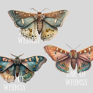 Watercolour Boho Moths Clipart Rustic Moth PNG Digital Image Downloads ...