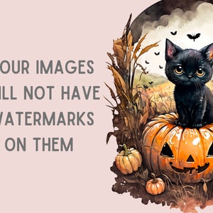 Watercolour Halloween Black Cat Clipart Jack O Lantern PNG Digital ...