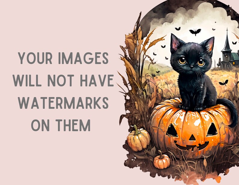 Watercolour Halloween Black Cat Clipart Jack O Lantern PNG Digital ...
