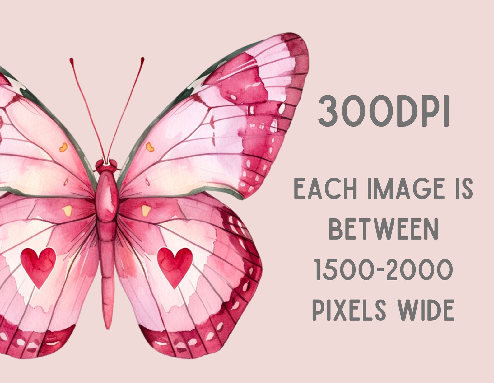 Watercolour Valentines Day Butterfly Clipart Cute Butterfly PNG Digital ...